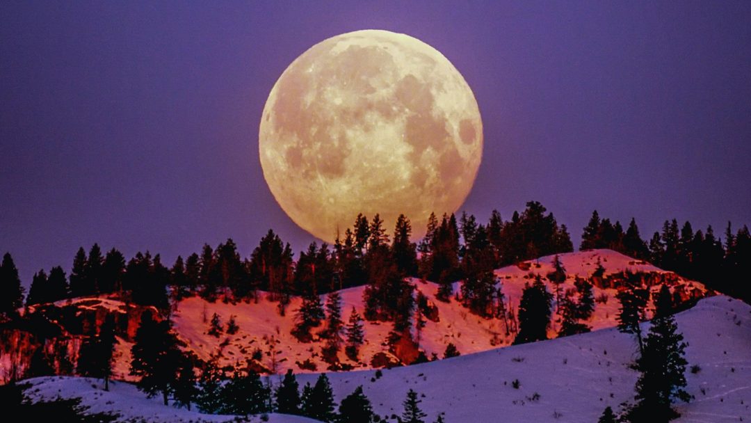 Vollmond November 2023 Sternzeichen